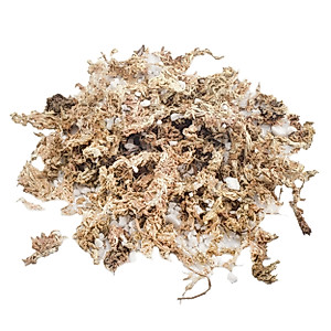 Sphagnum Moss Potting Mix (1 Quart); for Carnivorous Plants: Blend of Dried Moss with Perlite