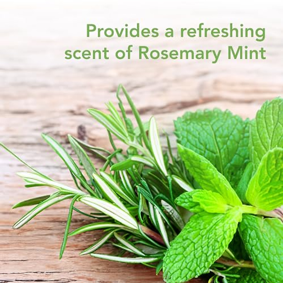 Raid Essentials Ant, Roach & Spider Killer Aerosol Spray, Child & Pest Safe, Kills Insects Quickly, for Indoor Use 10oz