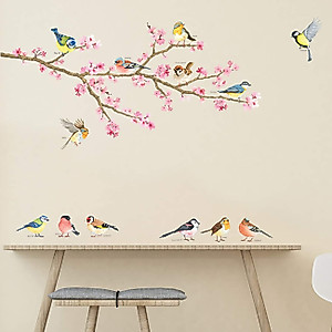 DECOWALL DWL-1904 Cherry Blossom Garden Birds Kids Wall Stickers Wall Decals Peel and Stick Removable Wall Stickers for Kids Nursery Bedroom Living Room d?cor