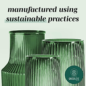 Greenline Goods Ribbed Drinking Glasses Set of 4 – 14.7 oz Mulberry Ribbed Glassware Sets – Fluted Glassware & Glass Cups Set, Versatile Glasses Drinking Set for Everyday Use and Special Occasions