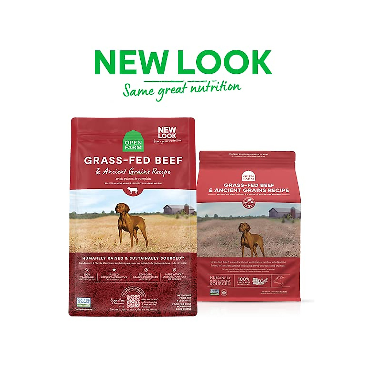Open Farm Ancient Grains Dry Dog Food, Humanely Raised Meat Recipe with Wholesome Grains and No Artificial Flavors or Preservatives (Grass-Fed Beef Ancient Grain, 4 Pound (Pack of 1))