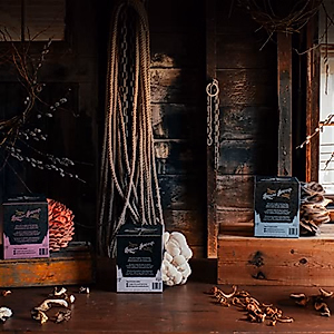 Hodgins Harvest Extra-Large Oyster Mushroom Grow Kit (7lbs) | USDA Certified Organic | Grow Your Own Delicious Gourmet Mushrooms at Home