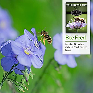 Survival Garden Seeds - Bee Pollinator Mix Seed for Planting - Packet with Instructions to Plant and Grow Annual & Perennial Flowers to Feed Bees in Your Home Garden - Non-GMO Heirloom Varieties
