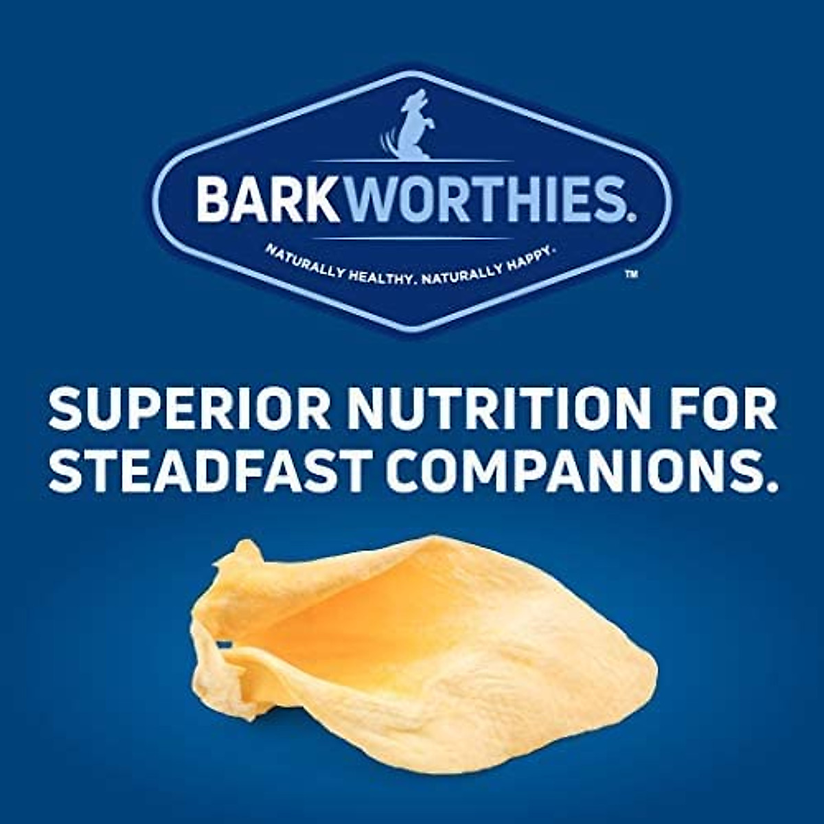 Barkworthies Cow Ears Dog Chews - 2 Pack High Protein Cow Ear All Natural Dog Treats - Grain Free, Rawhide Free Protein Chews for Puppy Teething, Dog Training, and Aggressive Chewer with E-Book