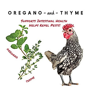 Manna Pro Chicken Treats - Harvest Delight Chicken Scratch - Chicken Feed Treat - Chicken Scratch Feed - 2.25 Pounds