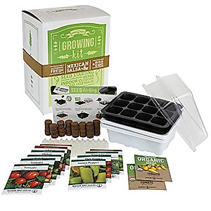 Salad & Vegetable Garden Seed Starter Kit | Deluxe | 12 Non-GMO Varieties | Gardening Starter Kit | Seeds: Cucumber, Sweet Pepper, Tomato, Chives, Lettuce, Carrot & More
