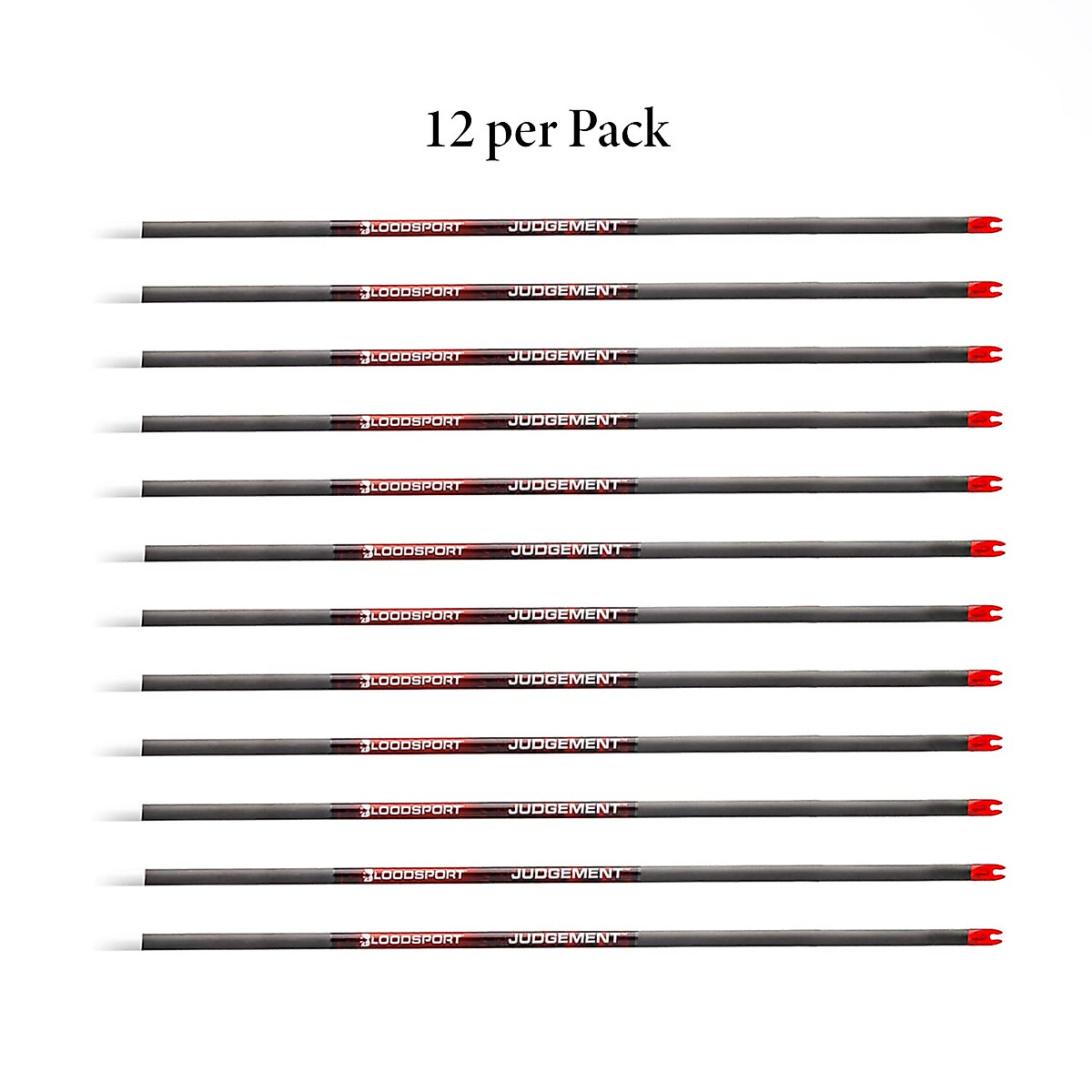 BLOODSPORT Judgement Bare Shaft Lightweight Precise Durable Carbon Hunting Arrow for Compound Bow - 31" Length, 244" Standard-Diameter, 001" Straightness, 12 Pack, 300 Spine