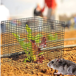 5 Pack Wire Plant Protectors Square Wire Plant Cages Mesh Plant Cage Chicken Wire Cloche with 20 Ground Stakes and 100 Nylon Ties Protect Plants, Garden,Shrubs and Vegetables from Animals, 12x12 inch