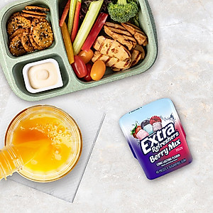 Extra Refreshers Berry Mix Gum, 3.21-Ounce 40-Piece Bottle (Pack of 6)