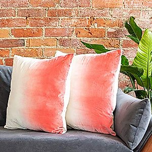 Refinery29 | Ombré Collection | Luxury Decorative Textured Throw Pillows, Ultra Soft with Stylish Modern Chic Design for Home Décor (Pillow, Coral)
