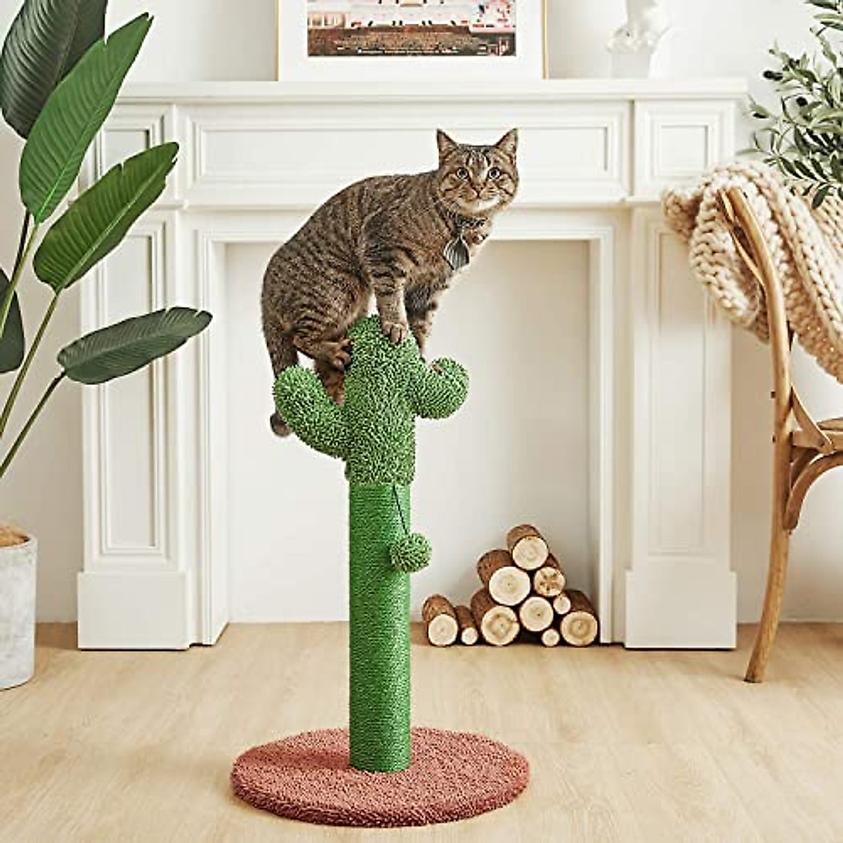 Catinsider 25.6" Cactus Cat Scratching Post with Dangling Ball for Cats Brown
