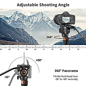 Cayer CF34 Carbon Fiber Camer Monopod Kit, 71 inch Professional Telescopic Video Monopods with Video Fluid Head and Folding Support Base for DSLR Video Cameras Camcorders, Plus 1 Extra Sliding Plate