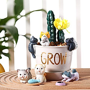 Jetec 19 Pieces Cute Miniature Garden Cats Landscape Lovely Mini Cats Figurines Fairy Garden Home Animals Kitten Adorable Mini Terrarium Figurine Ornament for Home Garden Decor Ornament Supplies