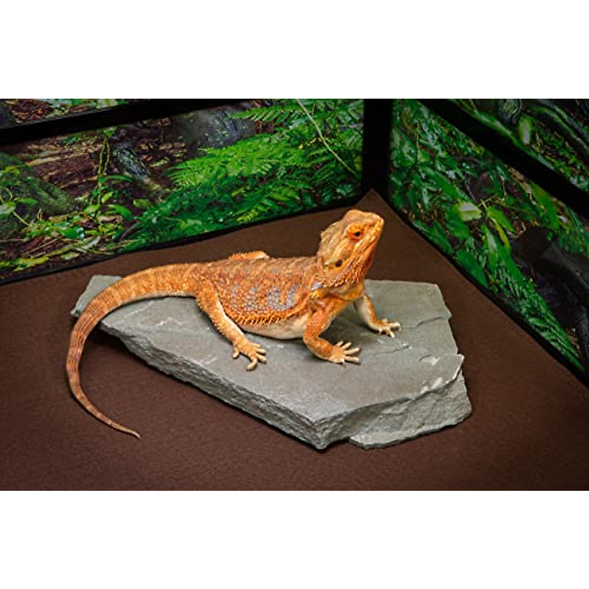 Carolina Custom Cages Natural Habitat Rocks, Blue Green (one Large Size)