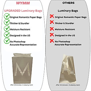 WYMM “Happy Birthday” Light up Letters with LED Lights and Rose Petals Included | Luminary Paper Bags to be Used as Happy Birthday Decorations for Your Loved one