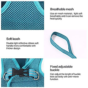 Heywean Cat Harness and Leash - Ultra Light Escape Proof Kitten Collar Cat Walking Jacket with Running Cushioning Soft and Comfortable Suitable for Puppies Rabbits (M, Turquoise)