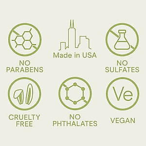 Baebody Award Winning Tea Tree Oil Shampoo - Clarifying for Build-Up, Dry Scalp and Oily Hair - Vegan Anti-Dandruff for Men/Women