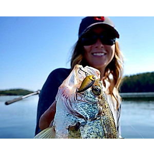 Northland Tackle Rippin' Shad Fishing Hook - Freshwater Fishing Lure for Bass, Walleye, Trout, Crappie, & Others - The Perfect Bait in Any Kit (Purple Wonder, 2", 3/8 Oz)