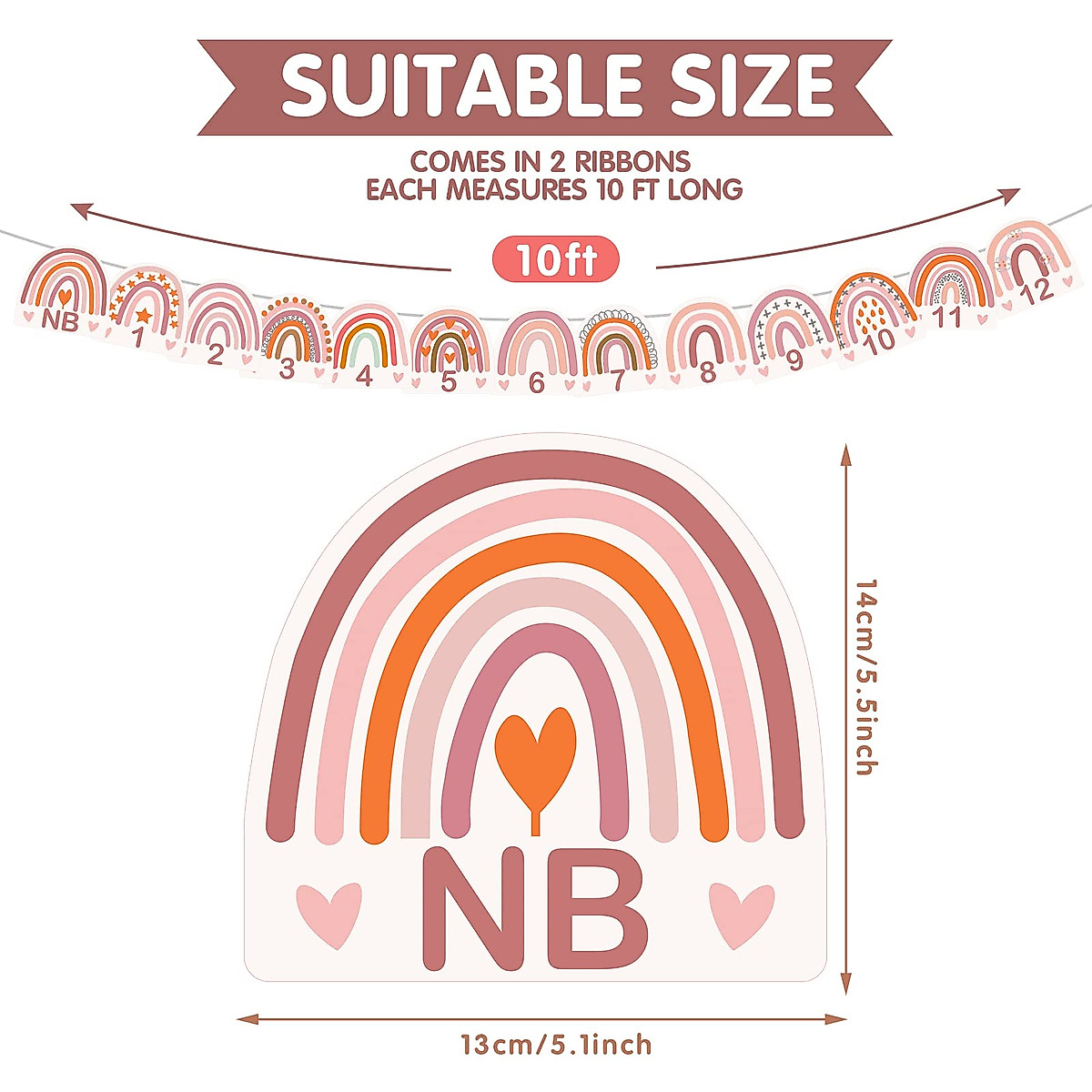 13 Pcs Rainbow First Birthday Photo Supplies Rainbow Baby Monthly Milestone Photo Banner Pink Garland from Newborn to 12 Months for Boho Birthday Party Supplies Photo Booth Props Decor