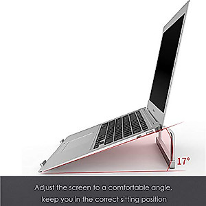 SKYZONAL Laptop Stand Aluminum Ventilated Stand Ergonomic Riser (Silver)