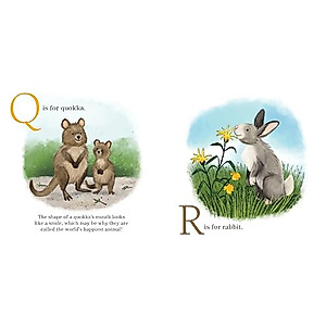 T Is for Tiger: A Toddler's First Book of Animals