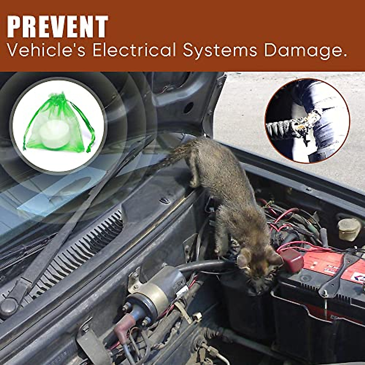 SEEKBIT 8 Pack Squirrel Repellent | Squirrel Deterrent Attic, Car, Engines, Under Hood, Vehicle, Garage | Chipmunk Rodent Mice Repellent | Garden, Yard, Outdoor, Bird Feeder Repeller