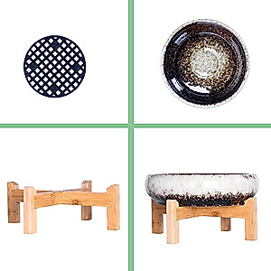 ARTKETTY Succulent Planters - Ceramic Succulent Pots with Drainage, 10 Inch Large Shallow Bonsai Pot with Stand Decorative Garden Cactus Flower Planter Container Bowl for Desk or Windowsill