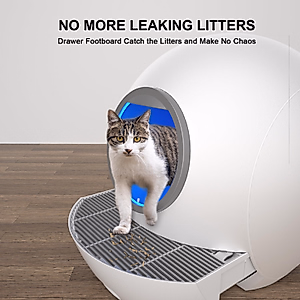 YSSAIL Self-Cleaning Cat Litter Box