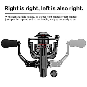 Ashconfish Spinning Reel, Saltwater Spinning Fishing Reels, Freshwater Fishing Reel, Ultra Lightweight Body, 8 Stainless Steel BB, 5.0:1 Gear Ratio, Max 17.6lbs Drag, Come with 109Yards Braided Line