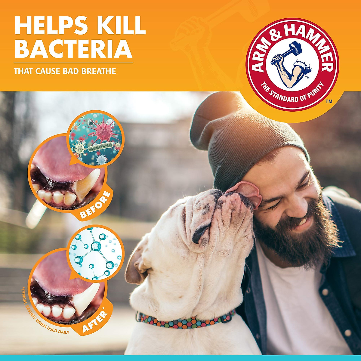 Arm & Hammer for Pets Clinical Care Dental Enzymatic Toothpaste for Dogs | Soothes Inflamed Gums | Safe for Puppies | Fresh Breath Vanilla Ginger - 72 Pack