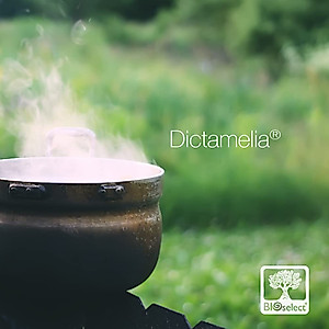 BIOselect Olive Shampoo for Colored Hair (250ML)