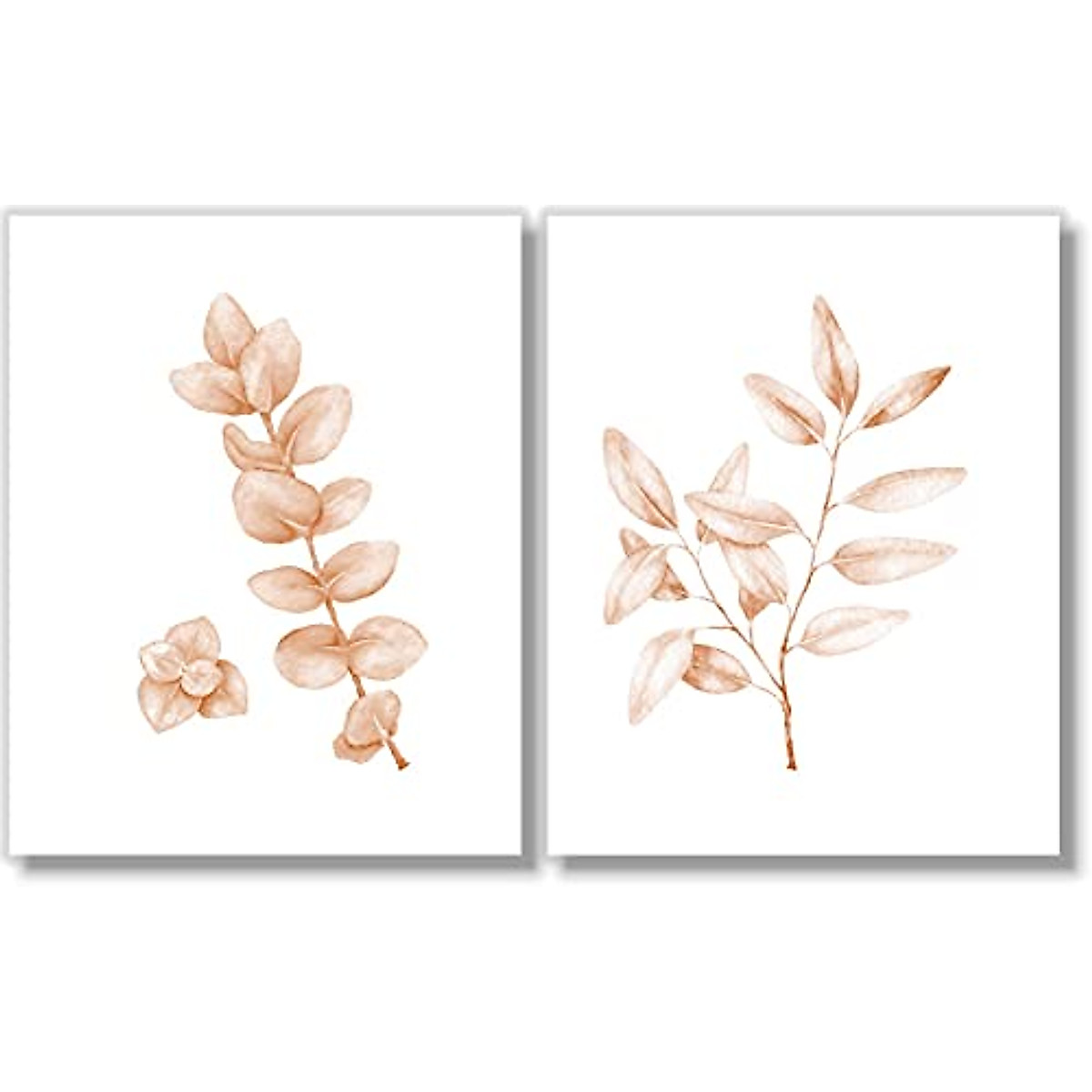 Botanical Prints Wall Art - Watercolor Eucalyptus Leaf Prints (Set of 4) - 8x10 - Unframed
