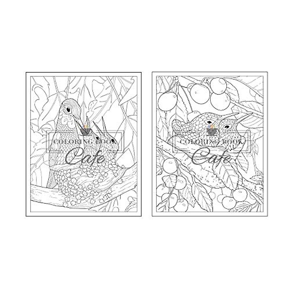 Hummingbird Coloring Book: An Adult Coloring Book Featuring Charming Hummingbirds, Beautiful Flowers and Nature Patterns for Stress Relief and Relaxation