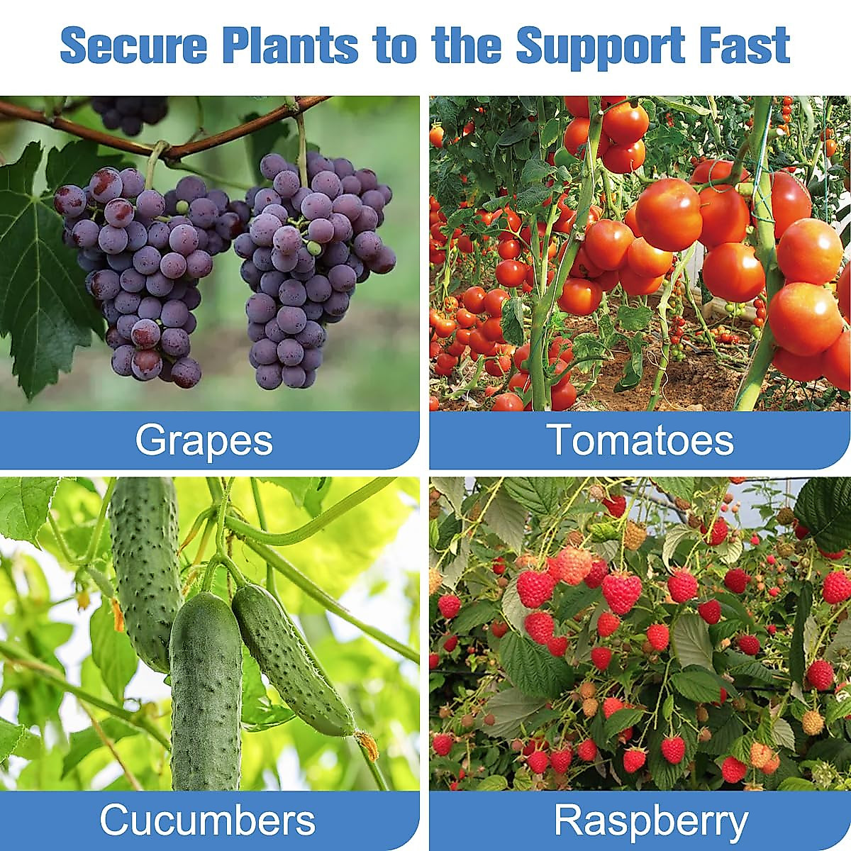 FUNTECK Plant Tying Machine for Grapes, Raspberries, Tomatoes and Vining Vegetables, Comes with Tapes, Staples and Two Replacement Blades,Green