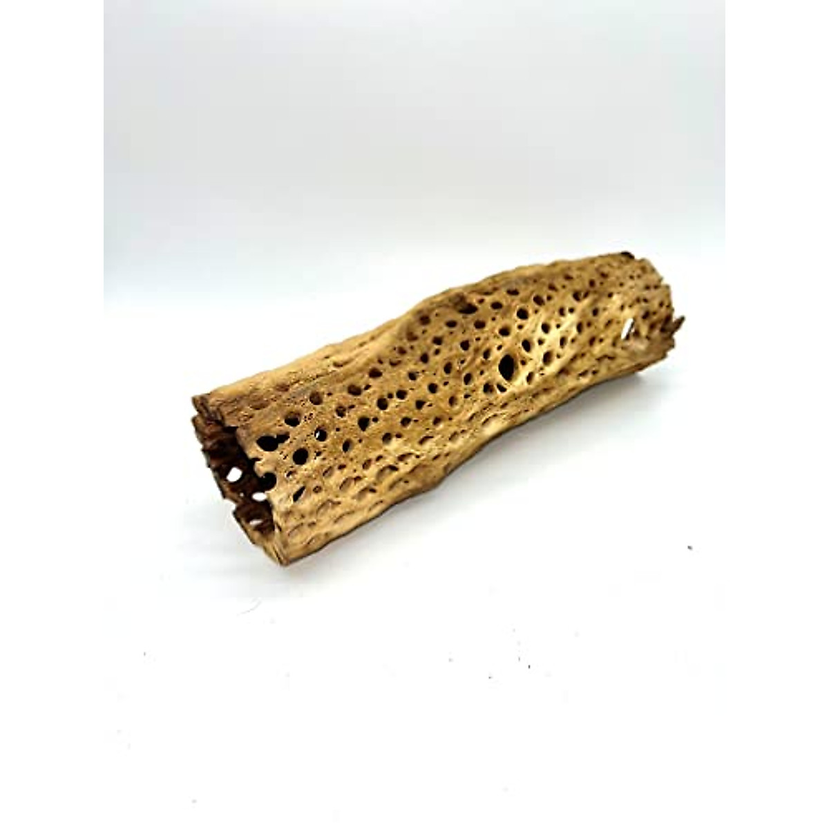Aqua Natural Cholla Log 2in - 3in Wide x 6in Long Hollow Single Piece for Shrimp, Geckos, Skinks and Other Lizards