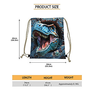 AFPANQZ Personalized Drawstring Bags T-rex Dinosaur Printed for Teenager Boys Sports Shoulder Bag Backpack Outdoor Causal Rucksack Satchel