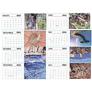 Nature's Dicks Calendar 2024, Nature's Cock Shots 2024 Calendar, Funny Calendar, Joke Present, Dicks Of Nature Wall Calendar, Hangable Wall Calendar Prank Gift