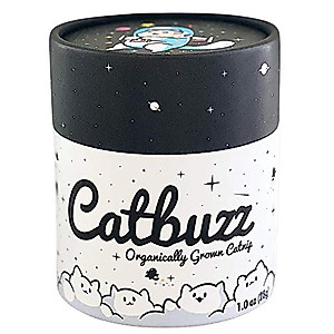 Catbuzz Premium and Organically Grown Catnip, Fresh, Grown by Family Farmers in USA, All-Natural, Eco-Friendly, Sustainable