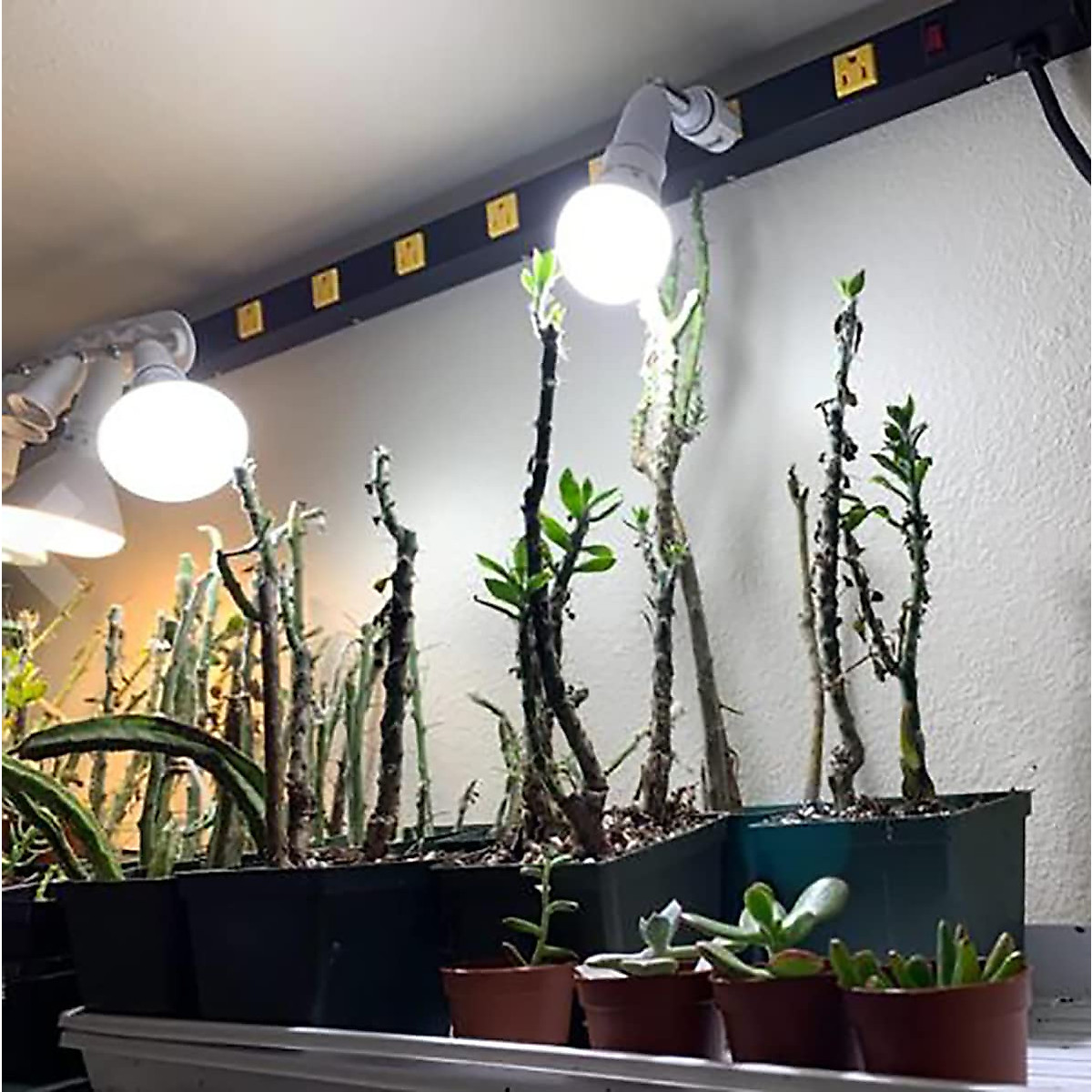 CLWHJ-360 Degrees Adjustable 2 in 1 E26/E27 Splitter Socket Adapter. E26/E27 Standard LED Bulbs 360 Degrees Adjustable 180 Degree Bendable Max Watt 120W (2 in 1)