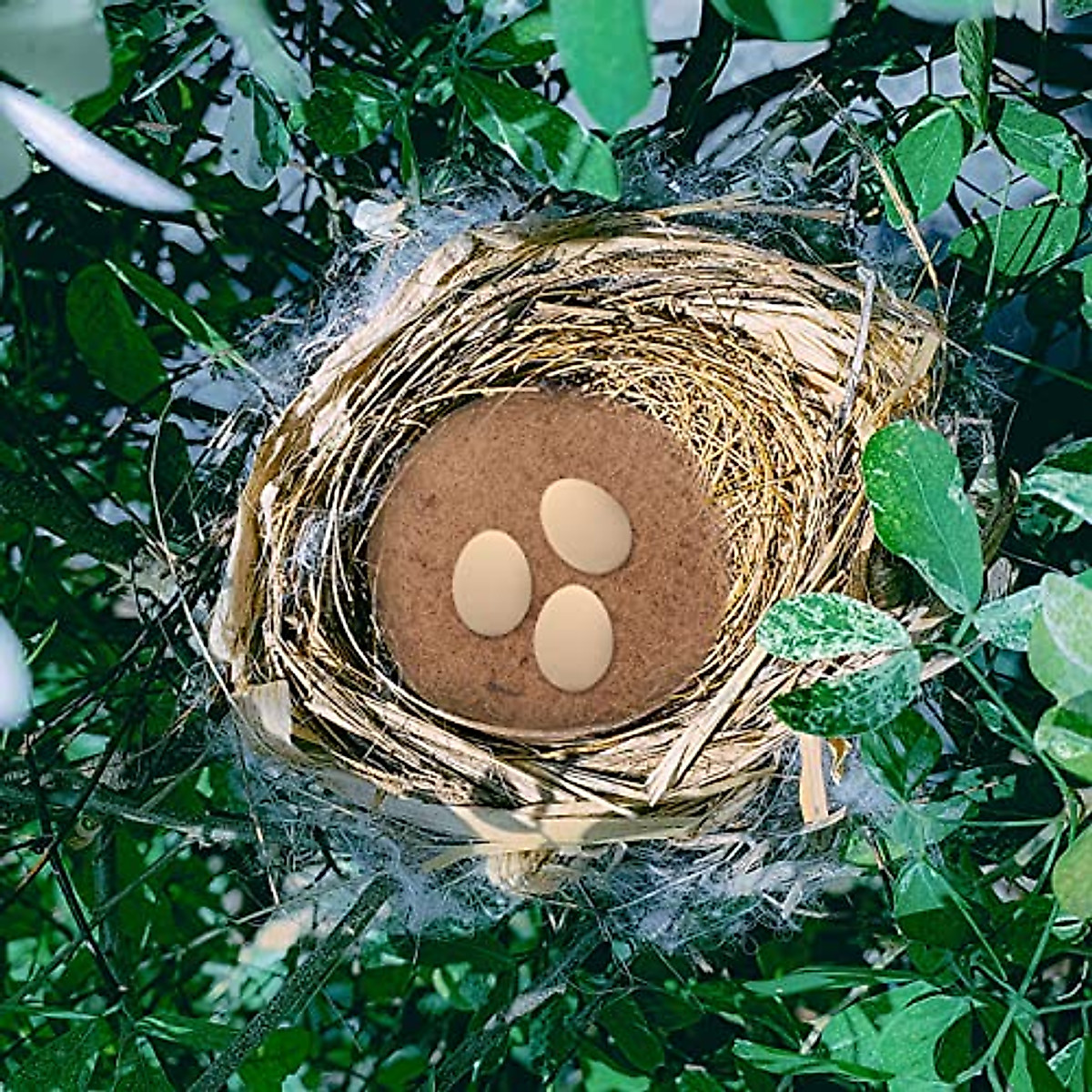 POPETPOP Pigeon Nest Mat Nesting Pads: 10PCS Bird Nesting Materials Bird Breeding Nest Bird Eggs Mat Coconut Fiber Substrate Bird Nest