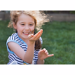 Insect Lore - Butterfly Growing Kit - Clear Front Facing Viewing Panel - Pre-Paid Voucher to Redeem Caterpillars Later – Life Science & STEM Education – Butterfly Science Kit