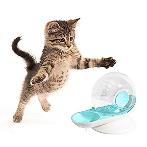 FUUIE Bowls for Food and Water 2.8L Bubble Dog Drinking Water Bowl Fountain Automatic Cat Puppy Portable Feeder Water Drinking Container Dispenser for Pet Help (Color : Blue)