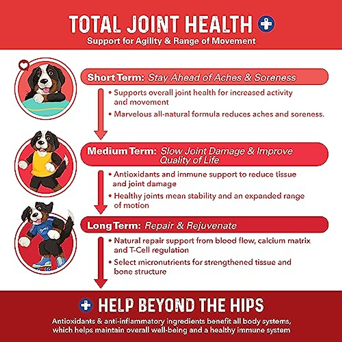 Bernie's Marvelous Mobility - Daily Dog Hip and Joint Supplement - Maintains Overall Well Being & Promotes a Healthy Immune System (90 Count)