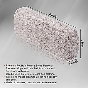 2 Pieces Pet Hair Remover for Cat Hair Removal Pumice Stone Tool Carpet Dog Fur Removal Tool for Car Couch Furniture Bedding Easy to Clean (4 Inches)