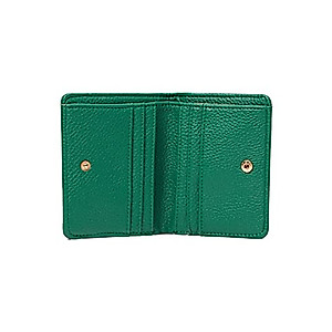 Anne Klein AK snap Closure Horsebit Logo Wallet, Cream-Brown w/Ivy Green