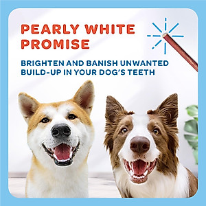 Trusty Paws Beef Collagen Sticks for Dogs - One Ingredient Collagen Chews - USA Beef Collagen Dog Chews Long Lasting - 10oz Bag, 15 Collagen Chew Sticks for Dogs