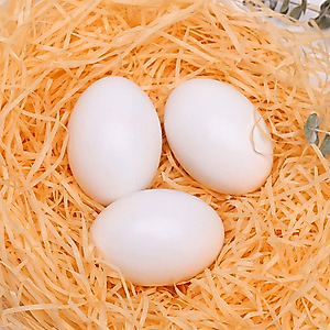 SallyFashion Wooden Fake Eggs,9 Pieces White Wooden Easter Egg Wood Eggs for Crafts Home Decor