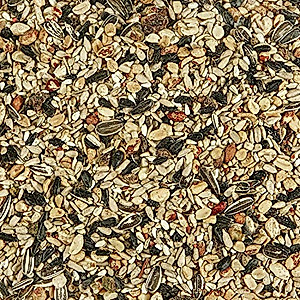 Kaytee Wild Bird Food Nut & Fruit Seed Blend For Cardinals, Chickadees, Nuthatches, Woodpeckers and Other Colorful Songbirds, 5 Pounds
