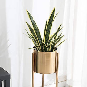 Ollain 4 PCS Artificial Sansevieria Plants 30 Inch Tall Fake Snake Faux Plant for Indoor and Outdoor Home Garden Office Store Decoration (Yellow Edge)