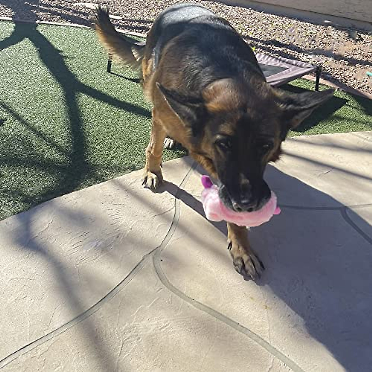 JALOUSIE 5 Pack Dog Bungee Stretch Toy Squeaky Dog Crinkle Chew Toy - Stuffingless Crinkle Paper Body No Mess - Sealed Stuffed Squeaky Head - Interactive Play Dog Crinkle Paper Sound Toy Value Bundle